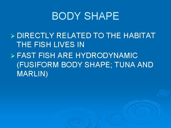 MARINE FISHES WHY ARE THEY SO IMPORTANT TO