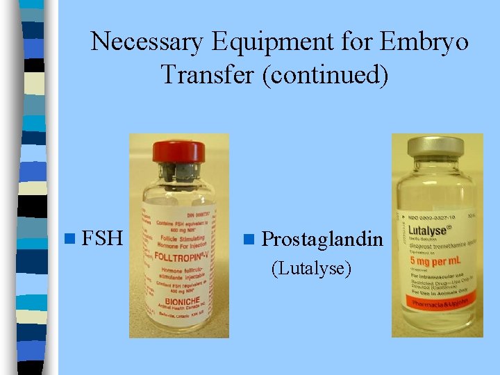 Embryo Transfer in Cattle Introduction n This slide