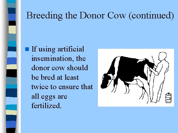 Embryo Transfer in Cattle Introduction n This slide