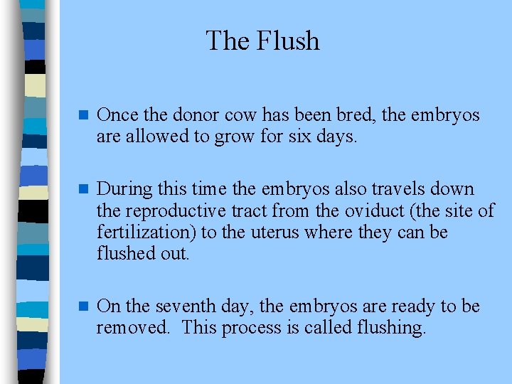 Embryo Transfer in Cattle Introduction n This slide