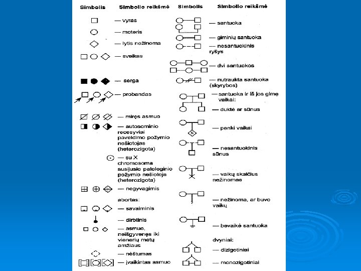 Geneologiniai mediai Mutacijos Mutagenai ir mutagenez Sukr biologijos