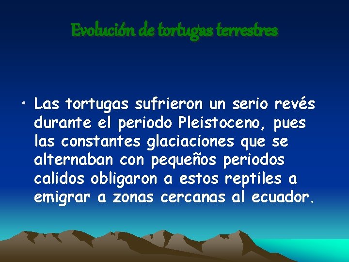 Evolucin de la tortuga Ana Arriaga Coll Brbara