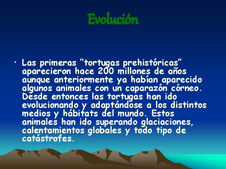 Evolucin de la tortuga Ana Arriaga Coll Brbara