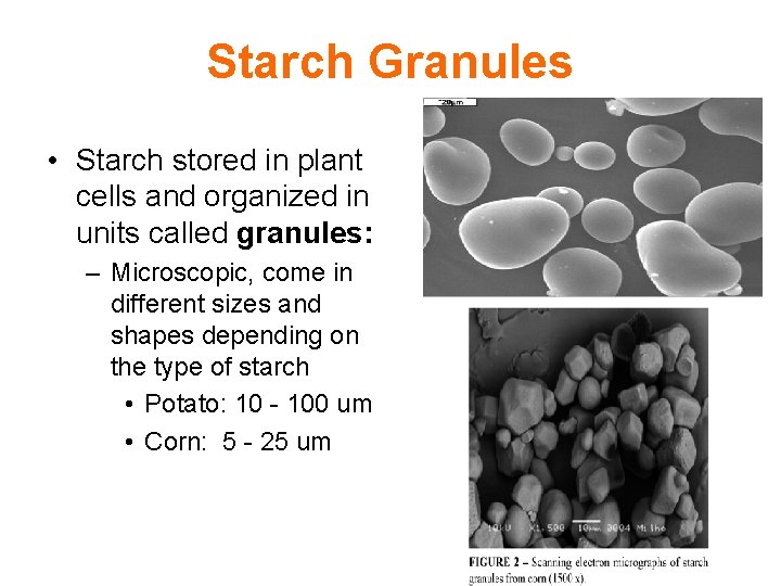 Chocolate Cornstarch Pudding Lab Aim To study the
