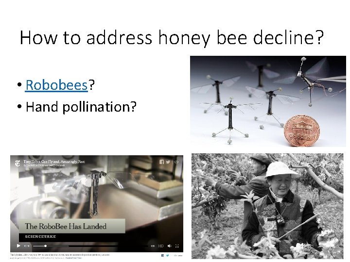 Pollinator futures Use older second generation pesticides Lock