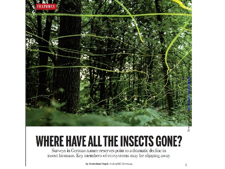 Pollinator futures Use older second generation pesticides Lock