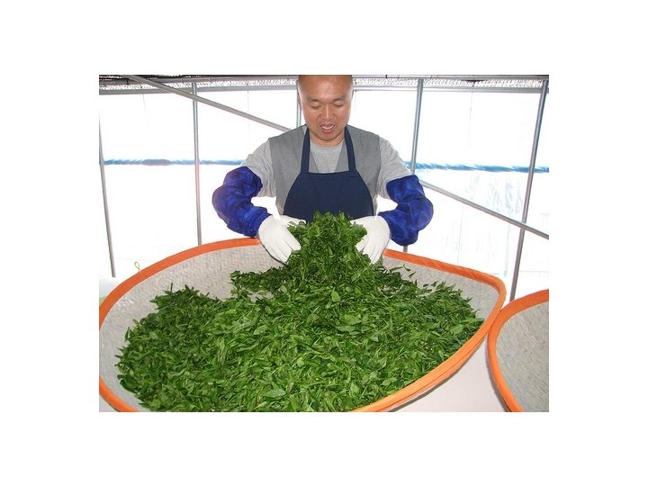 The Korean Way of Tea Growing Tea Drying