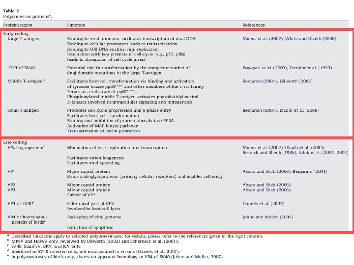 Polyomaviridae Molecular Virology Introduction Group Ids DNA virus