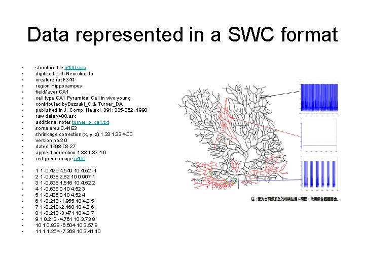 Tonic Spiking Phasic Spiking Tonic Bursting Phasic Bursting