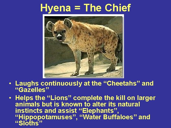 The Jungle A guide to U S Navy