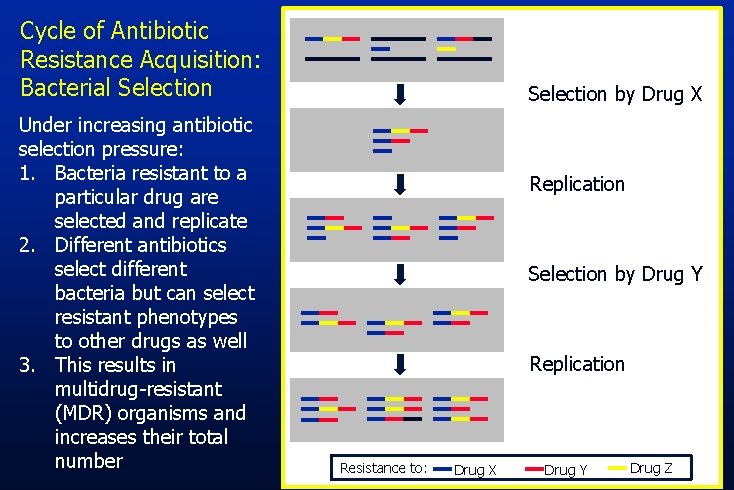 Antibiotic Resistance and Its Relationship to Antibiotic Use