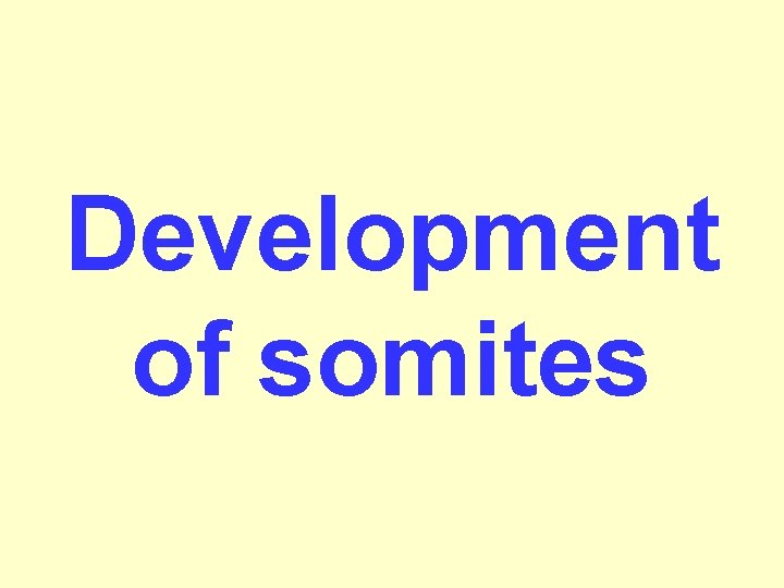 BiIsmiALLAHArehmanAraheem MUDGHAH Chewed Substance O people if you