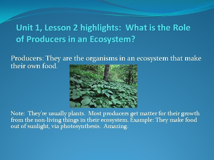 Unit 1 Lesson 2 highlights What is the