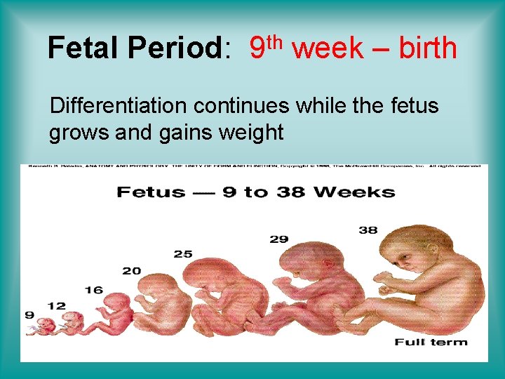 EMBRYOLOGY OLD NEW FRONTIERS BY Dr Samina Anjum