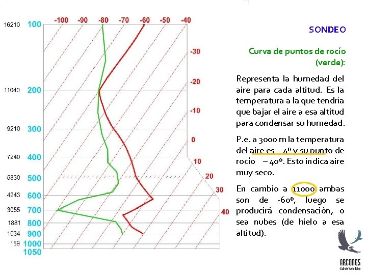 INTERPRETACIN BSICA DE UN TERMOGRAMA Los termogramas o
