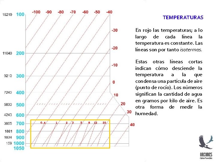 INTERPRETACIN BSICA DE UN TERMOGRAMA Los termogramas o