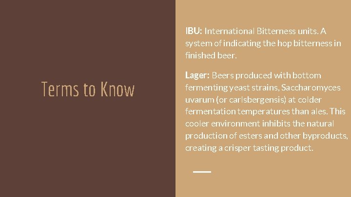 Beer Terminology Beer and Food Pairing Alcohol by