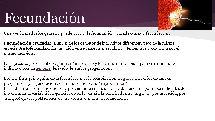 Fundacin Educativa de Montelbano Biologa Estudiantes Daniela SolanoJulissa