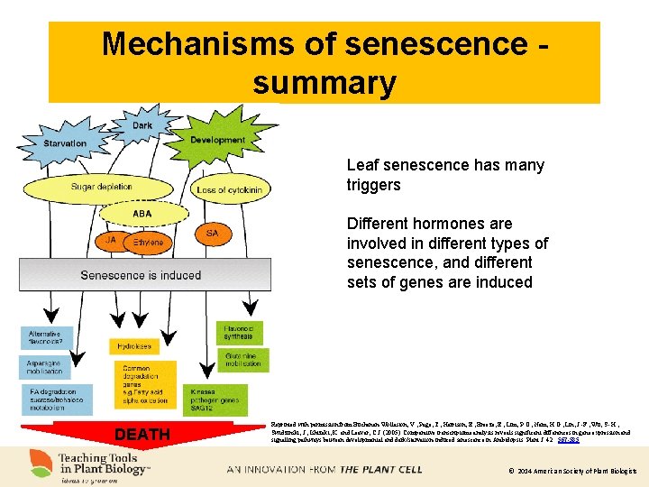 The End Senescence and cell death www plantcell