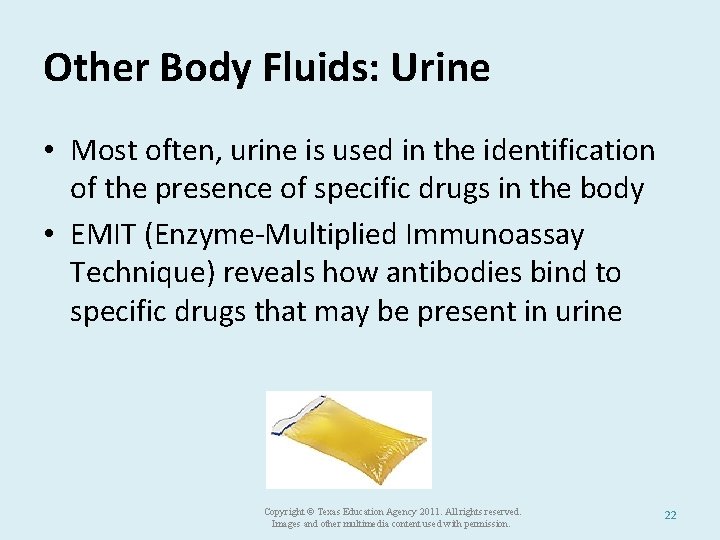 Forensic Serology Forensic Science The Composition of Blood