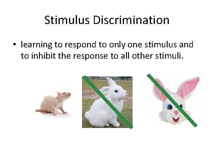 Key Psychologists Ivan Pavlov Russian physiologist known primarily