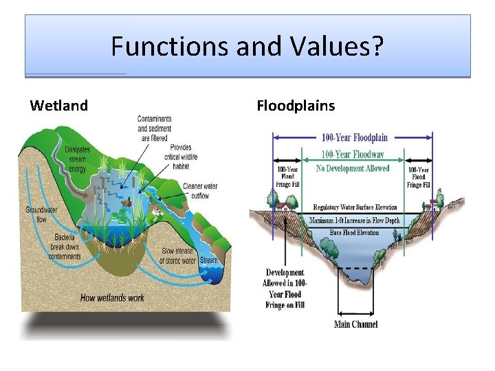 Challenges in Managing the Natural and Beneficial Resources