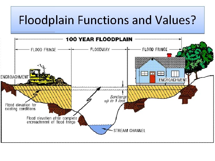 Challenges in Managing the Natural and Beneficial Resources
