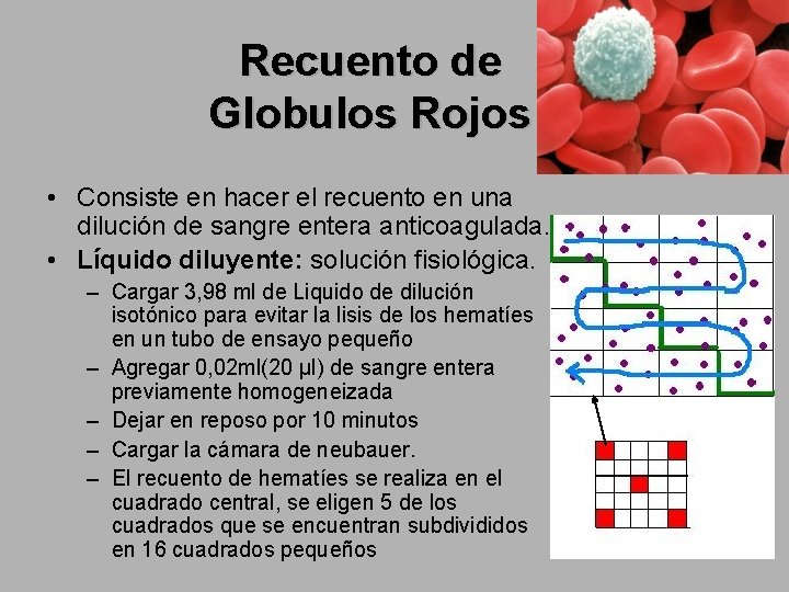 Hemograma Hemograma Conjunto de determinaciones que ofrecen informacin