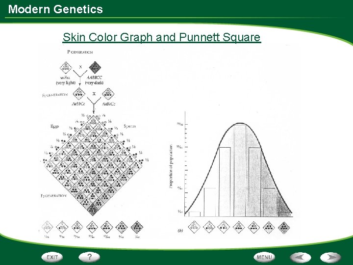 Modern Genetics Table of Contents Human Inheritance Human