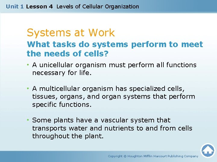 Unit 1 Lesson 4 Levels of Cellular Organization