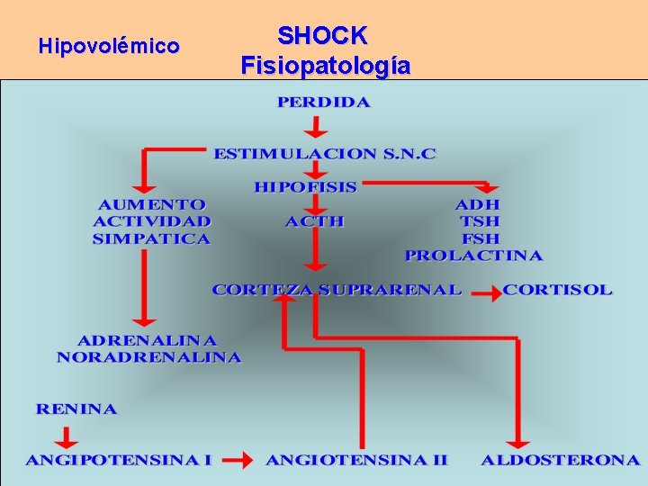 SHOCK Concepto Es un estado de hipoperfusin tisular