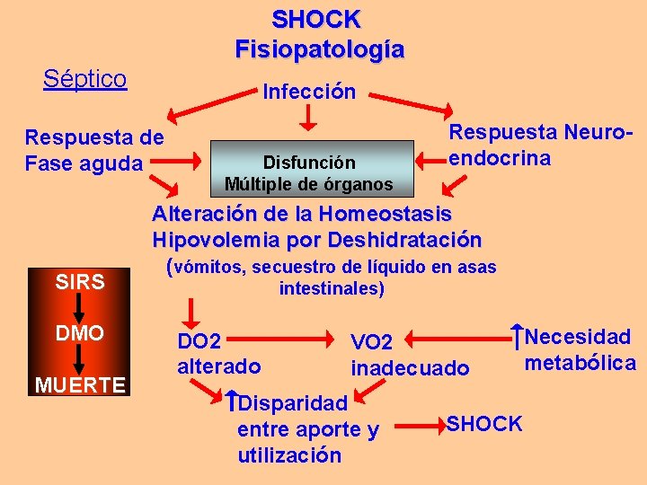 SHOCK Concepto Es un estado de hipoperfusin tisular