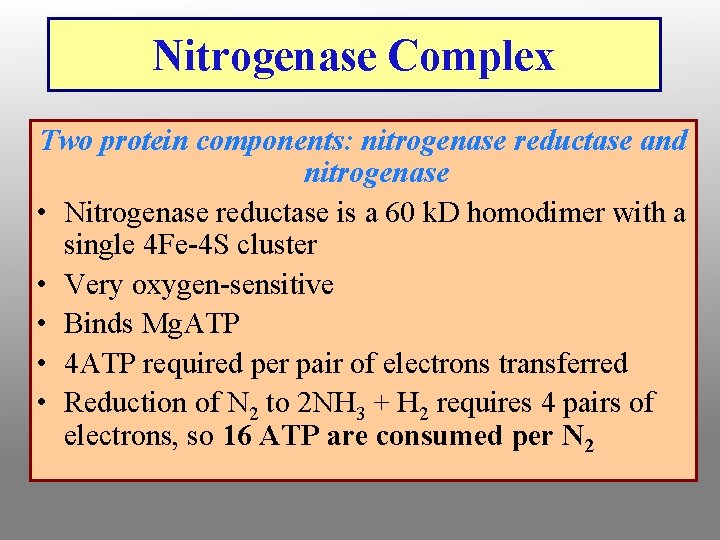 Biological Nitrogen Fixation Conversion of dinitrogen gas N