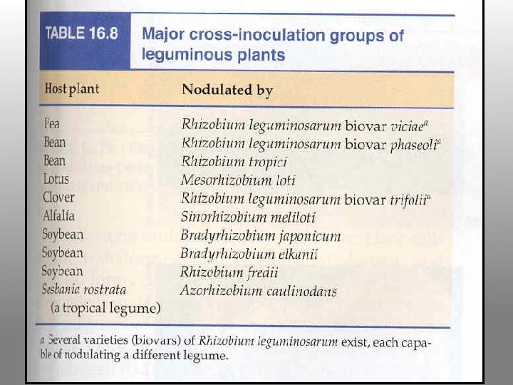 Biological Nitrogen Fixation Conversion of dinitrogen gas N