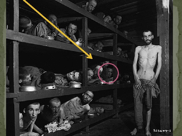 Elie Wiesel BIO BACKGROUND INFO Born in Sighet