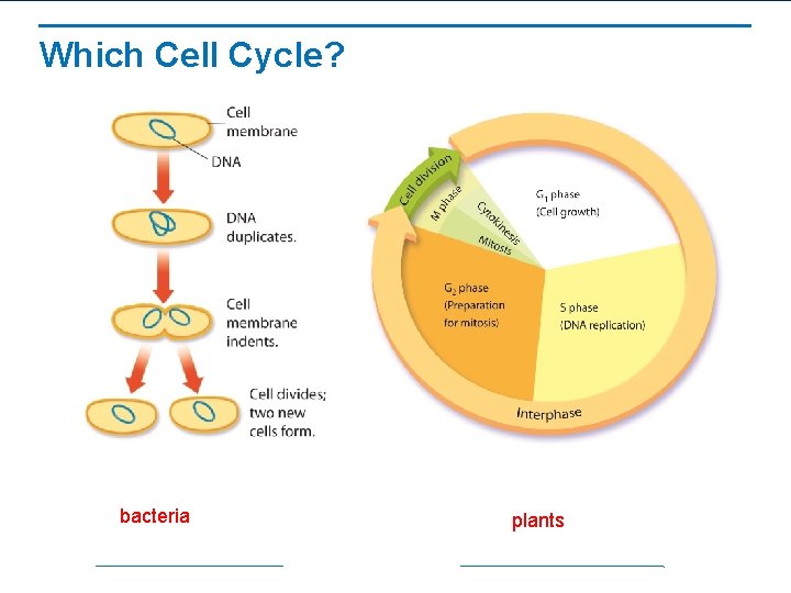 Wednesday November th 9 Miss Brawley Do Now