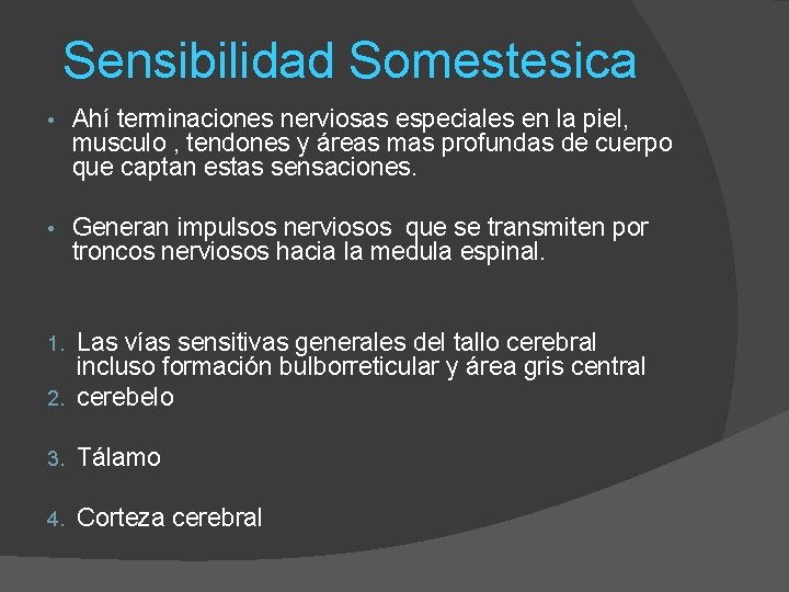 UNIVERSIDAD JUREZ AUTNOMA DE TABASCO Tema Sensibilidad Somestesica