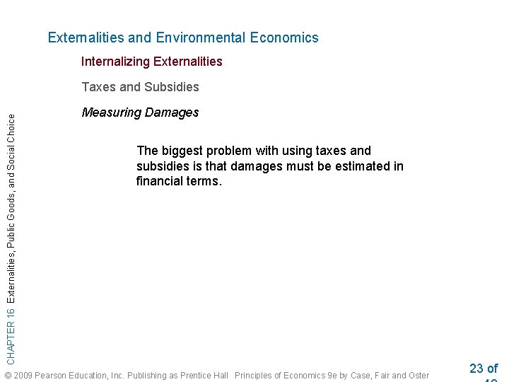 CHAPTER 16 Externalities Public Goods and Social Choice