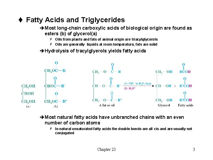 Chapter 23 Lipids Chapter 23 t Introduction Lipids