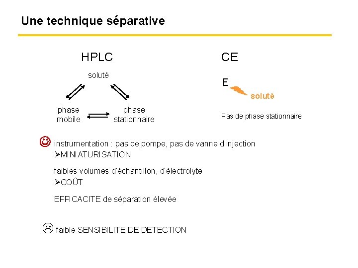 Formation CEMS Electrophorse Capillaire Contact Yannis FRANCOIS Lab