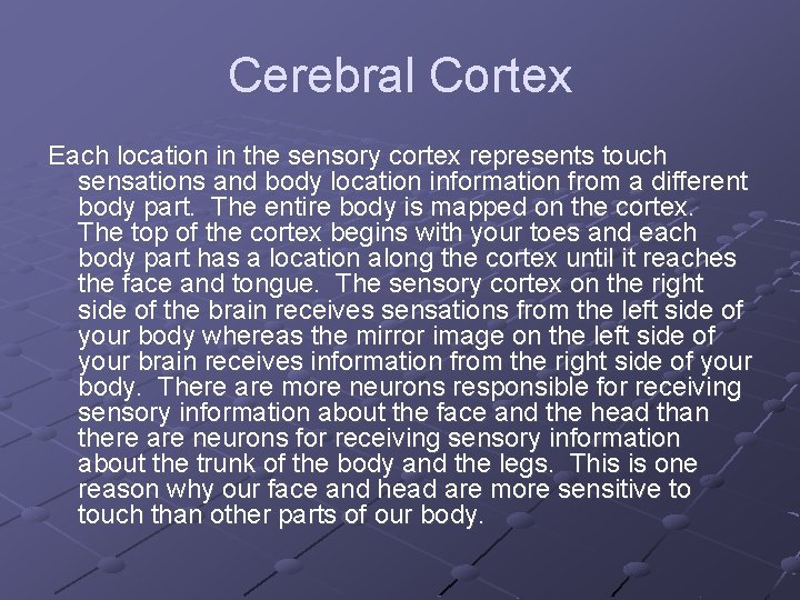 Cerebral Cortex Information in this presentation is taken