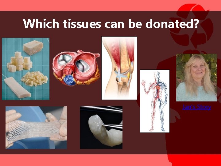 Recycle Yourself Facts about organ eye and tissue