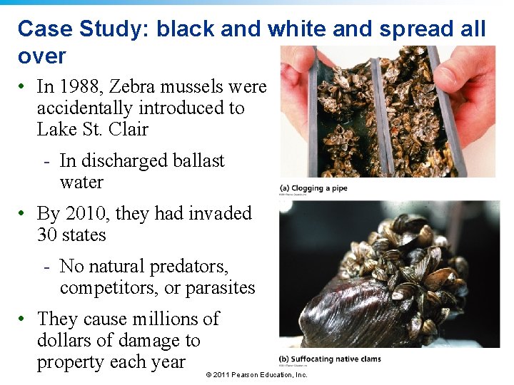 Lecture Outlines Chapter 4 Environment The Science behind