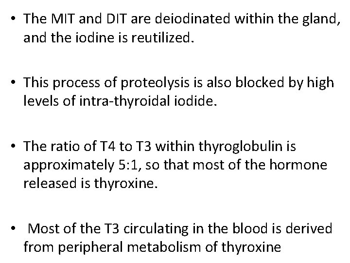 Thyroid and Antithyroid Drugs Assist Professor Dr Hayder