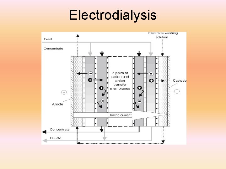 Membrane Processing Electro dialysis of milk and its