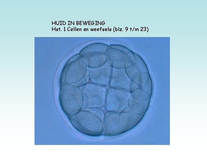 Anatomie Bouw van het lichaam FYSIOLOGIE bv kwijlende