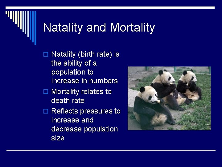 Population Numbers Population Dynamics o Short and Longterm