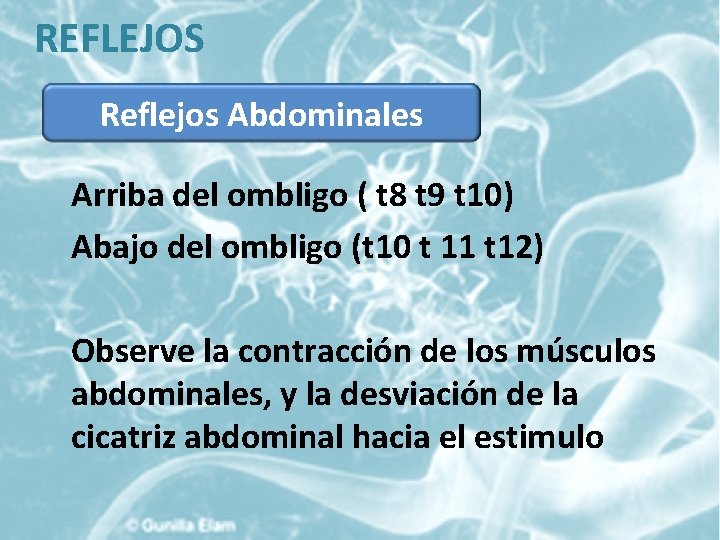 UNIVERSIDAD NACIONAL AUTONOMA DE HONDURAS FACULTAD DE CIENCIAS