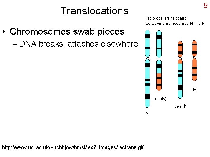 DNA Damage and Biodosimetry Radiation through free radical