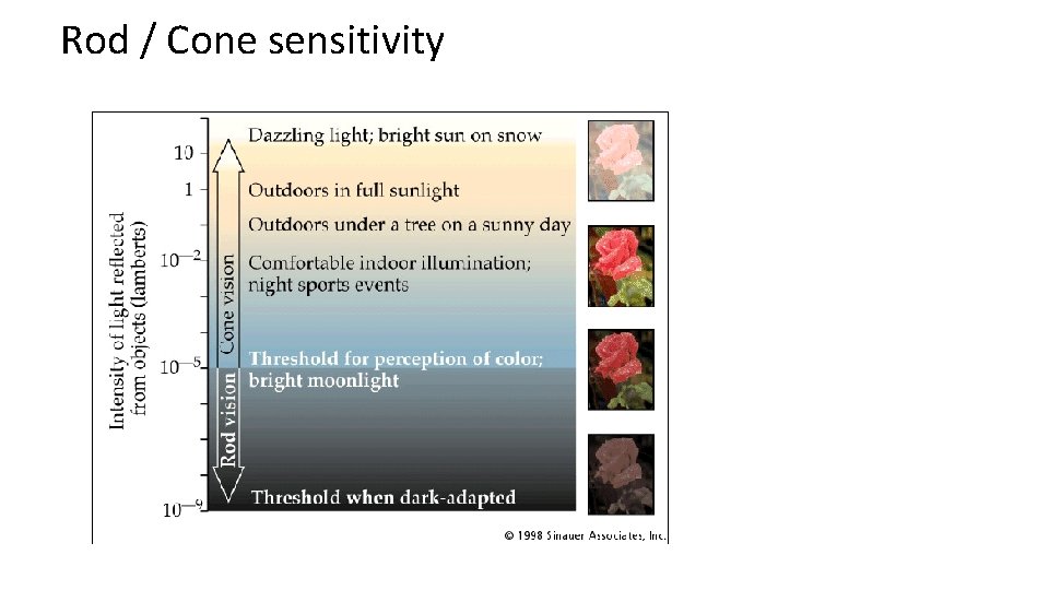 Light and Color Empire of Light Magritte Computational